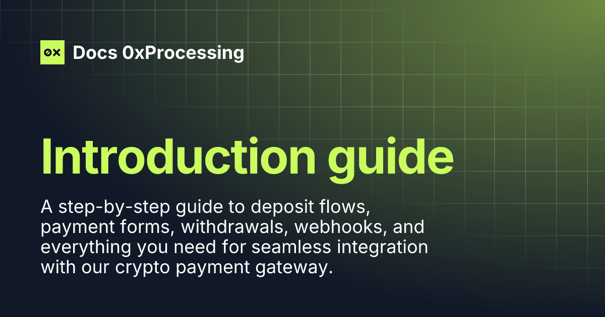 Introduction guide | Docs 0xProcessing